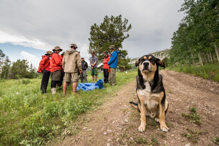 Our Story - Elements