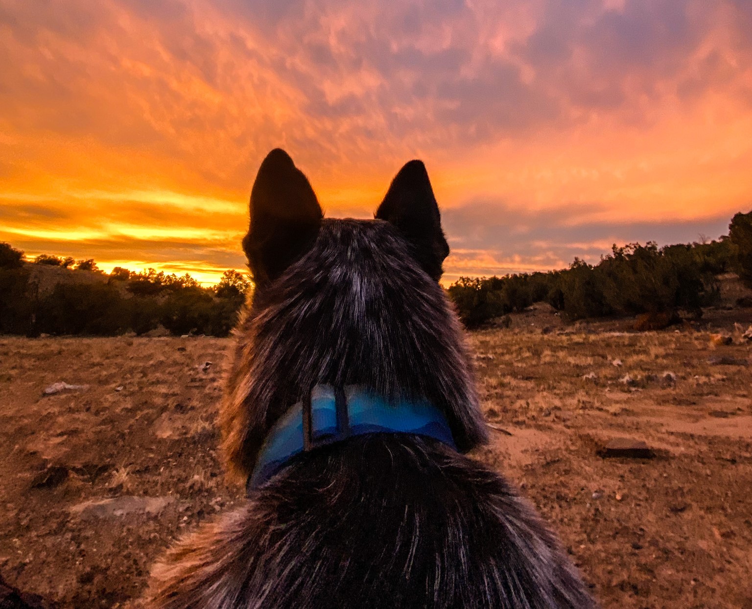 Our Story - Elements